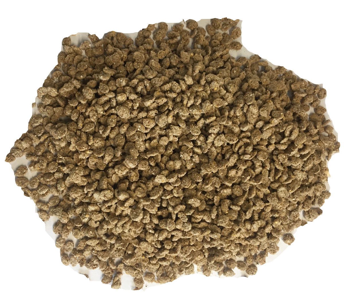 Happy Hopper – Pet-Pro Products